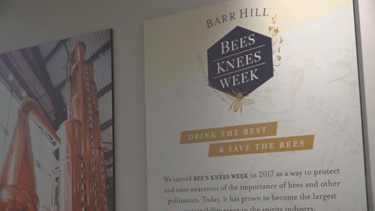 Barr Hill Distillery hosts Bee’s Knees Week to save pollinators