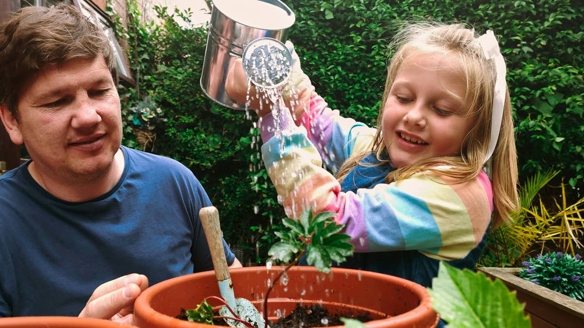 Discover the kid-friendly flower mix that makes gardening fun this summer