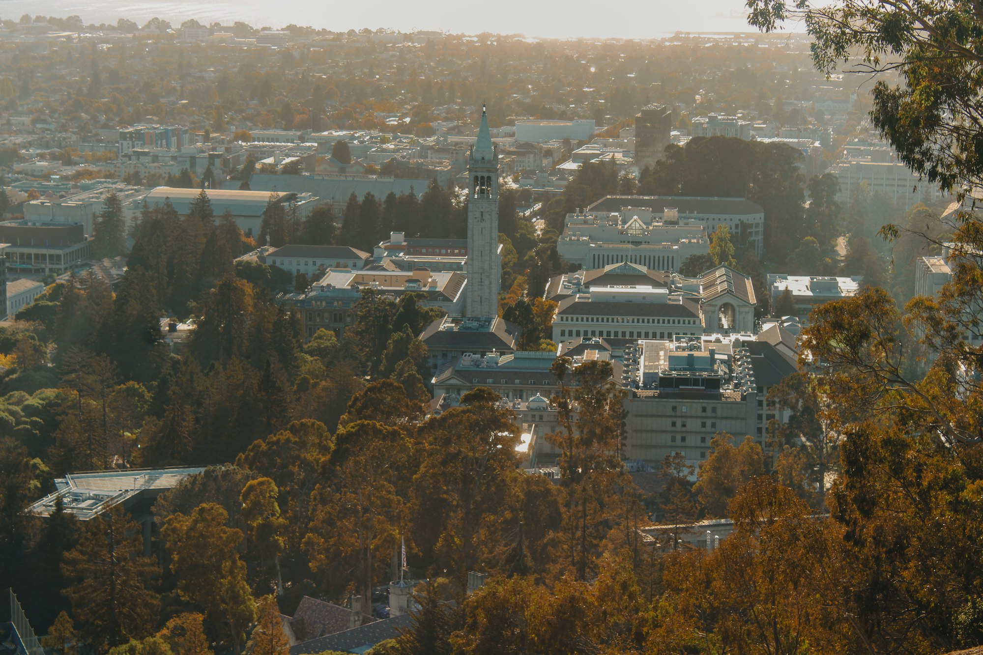 Camp staffer arrested after child sexual assault at UC Berkeley
