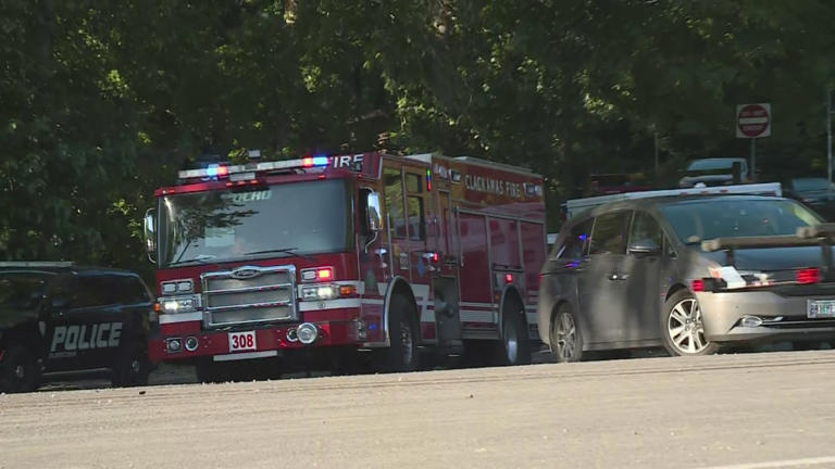 Active search underway after possible drowning at Meldrum Bar Park in ...