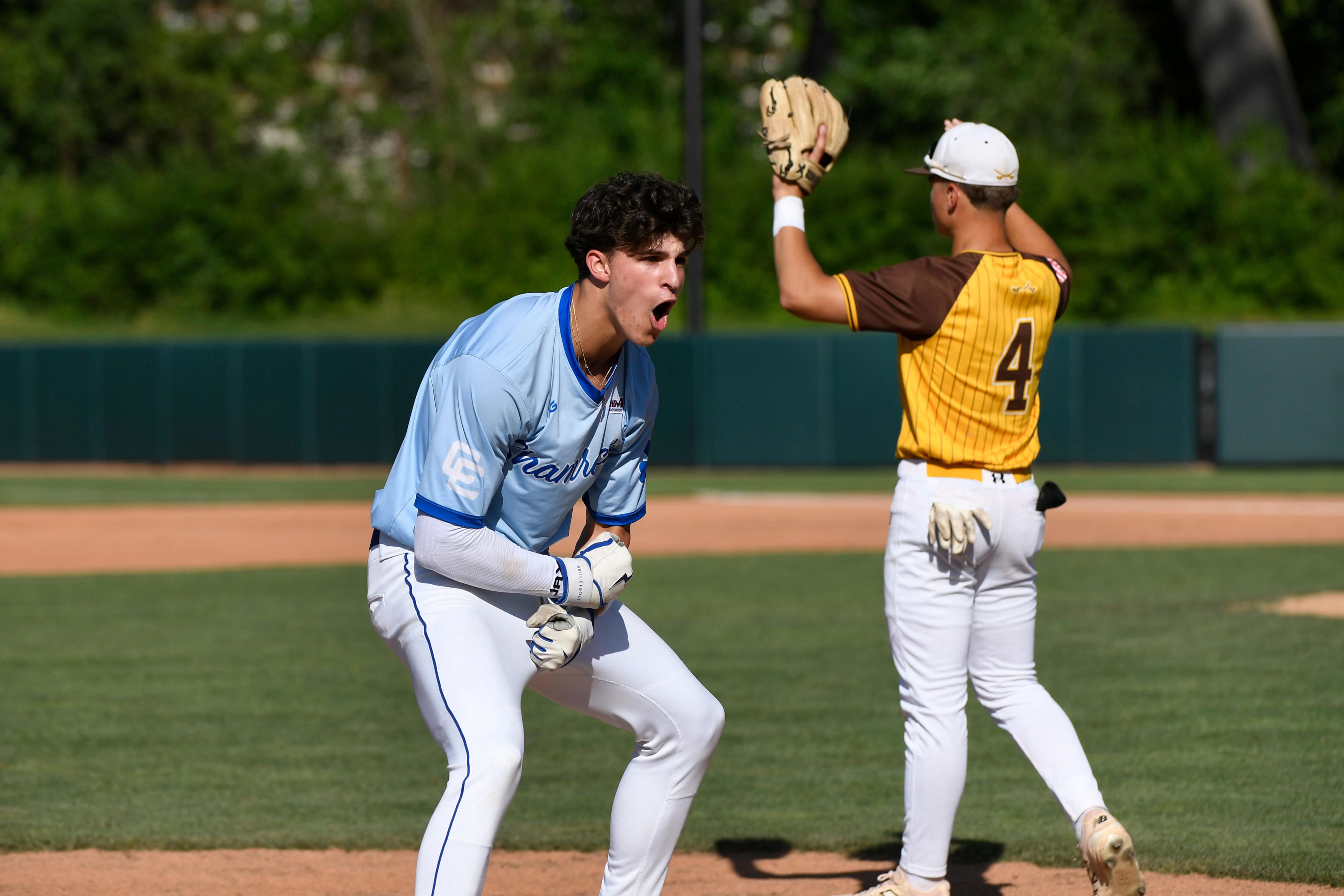 Detroit CC gives Adams triple trouble in Div. 1 baseball final