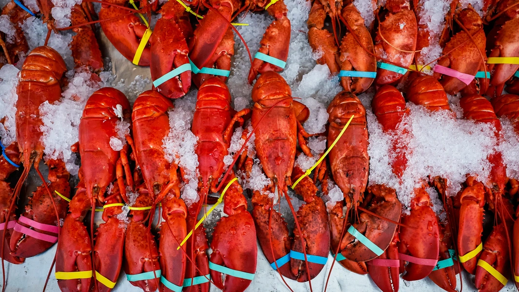 Mastering lobster preparation and cooking