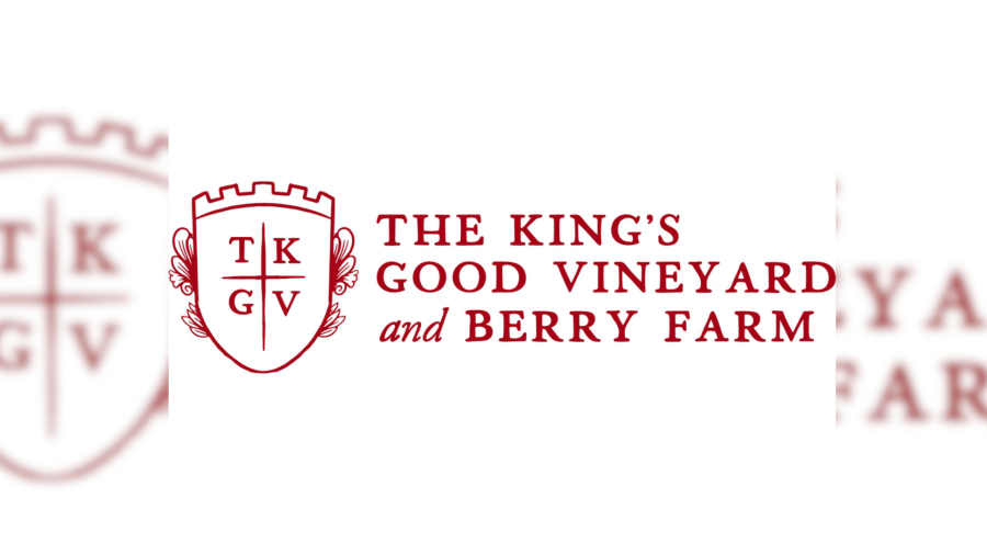 Blackberry season begins at King’s Good Vineyard and Berry Farm