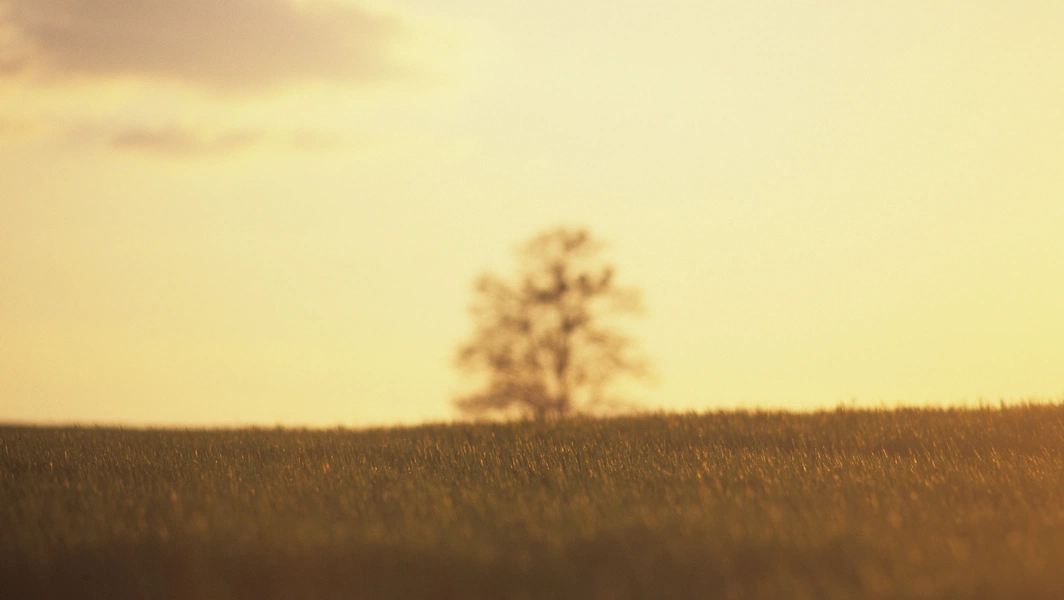 10 retro sunset aesthetic inspirations