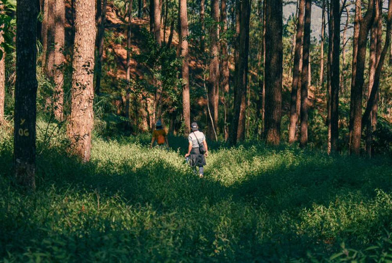 Forest exploration activities bring children closer to nature