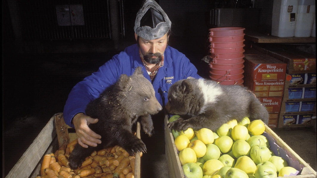8 remarkable bear cub rescues and releases