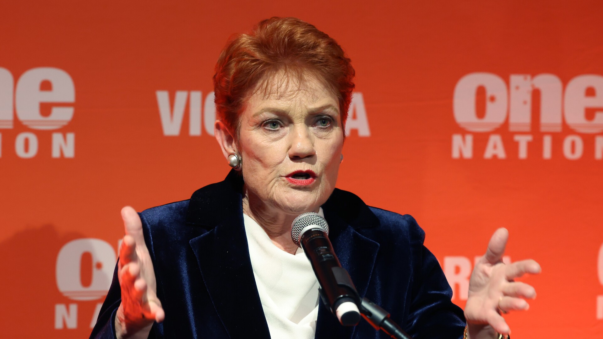 One Nation a fundraising juggernaut as grassroots donations surge past ...