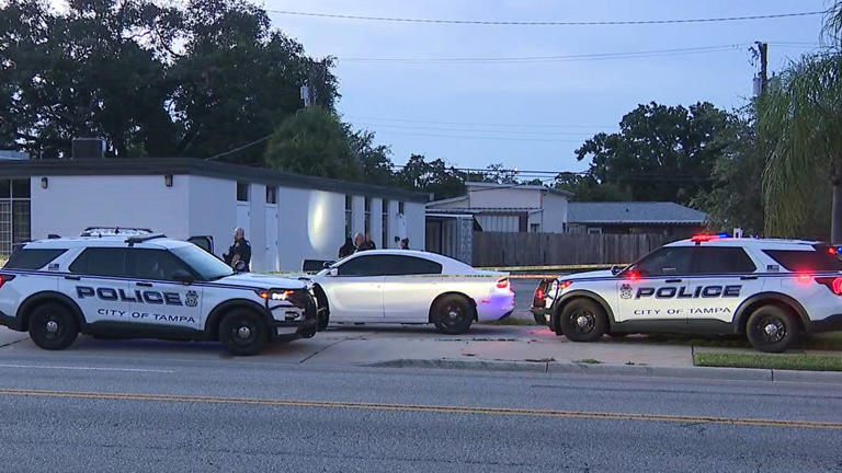Tampa death investigation: Man found dead on West Martin Luther King Jr ...