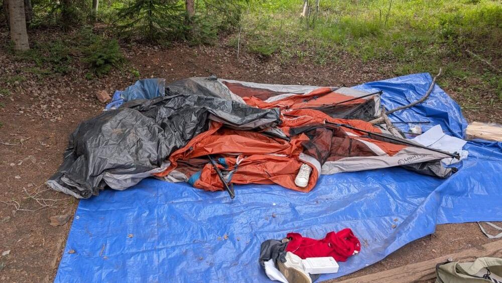 Colorado bear activity forces camping restrictions at Gore Creek ...