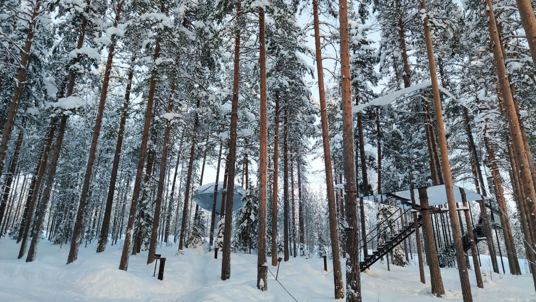 4 extraordinary treehouse and forest retreats