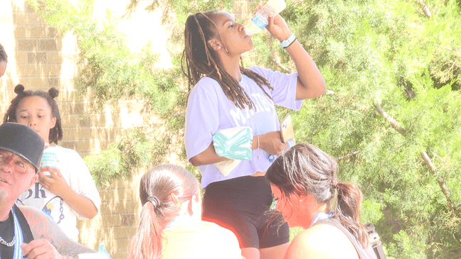 Texans unite for Walk With Noe to raise awareness for rare diseases