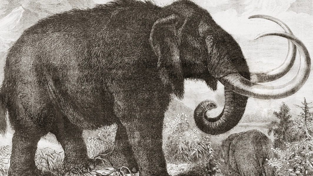 10 remarkable historical coincidences