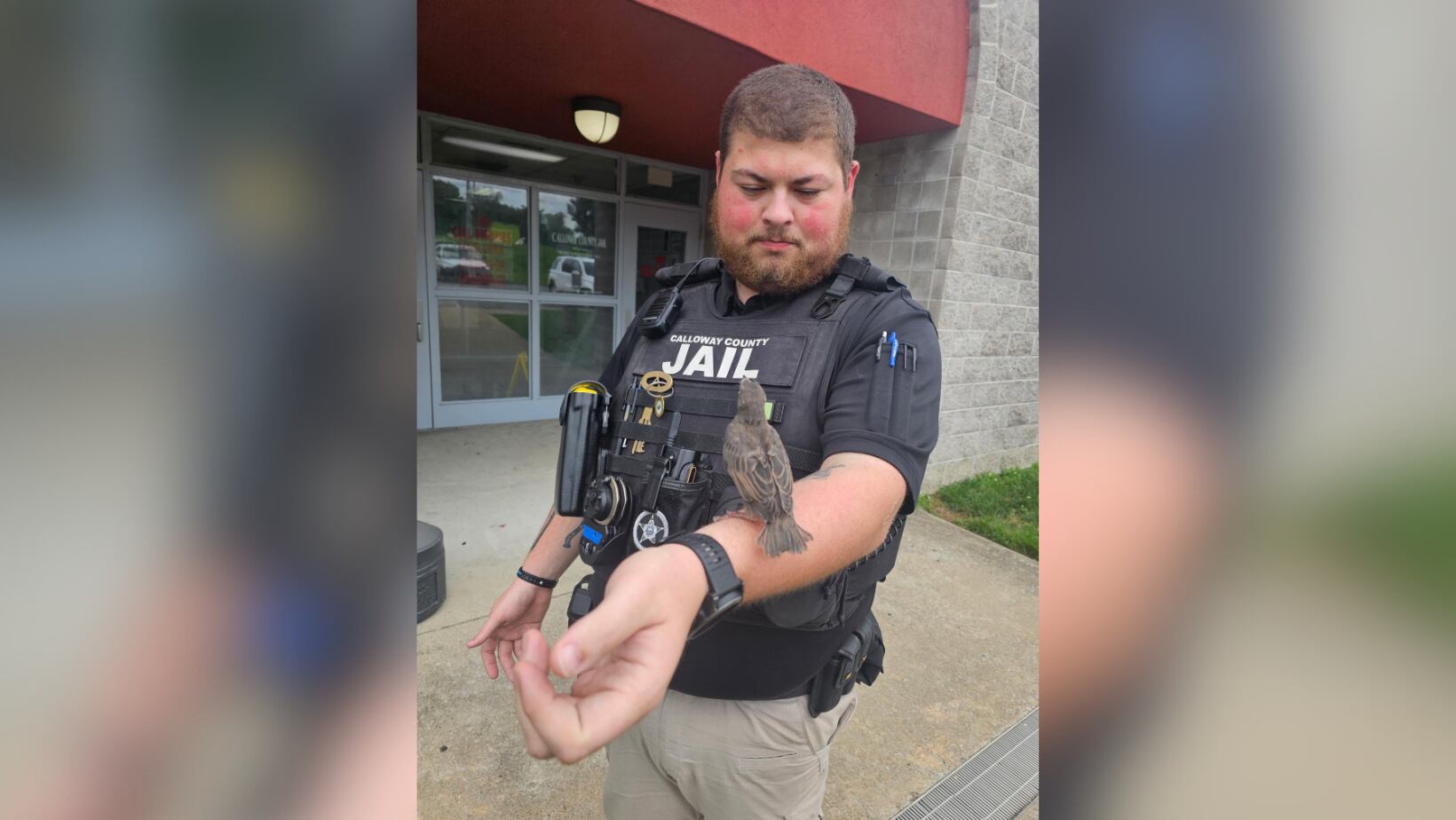 Calloway County Jail deputy rescues bird in recreation yard