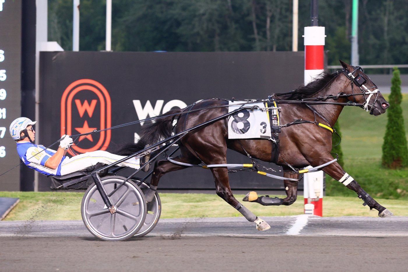 MacDonald drives Odds On Mr Mamba to win in $1-million North America Cup