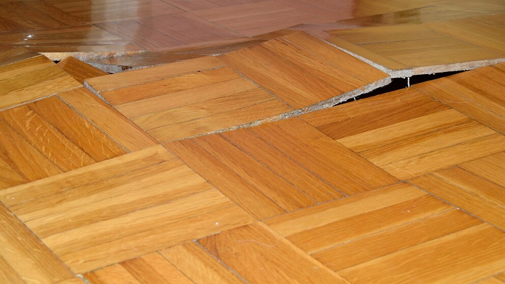 What to do about water damage to hardwood floors and who pays