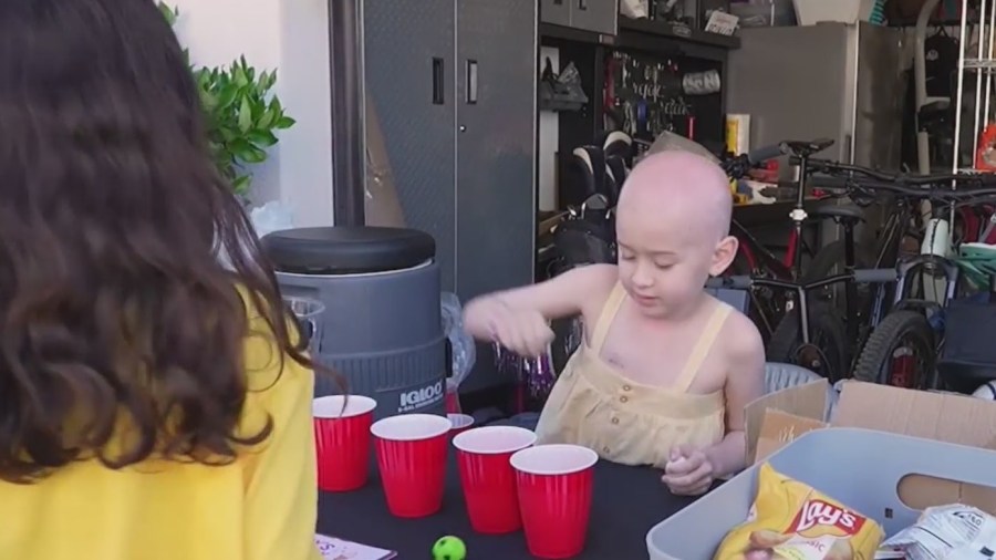 Teen brother turns lemonade stand into mission for 7-year-old sister’s ...