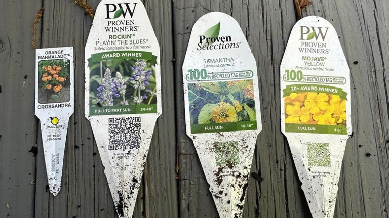 What Does the Sun Symbol on a Plant Tag Really Mean?