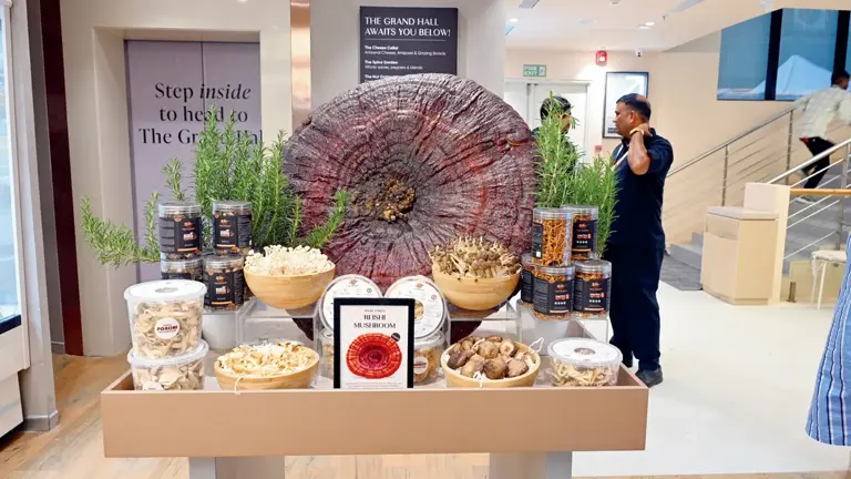 There's a new gourmet grocery store in Mumbai, and here's all you need ...