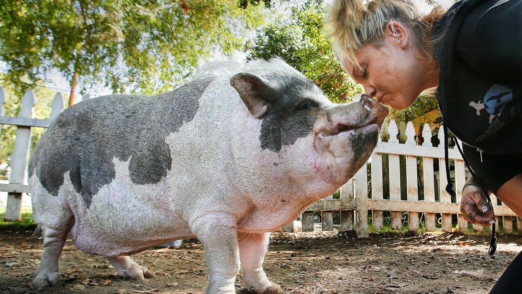 10 celebrities and their beloved animals