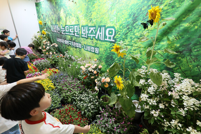 Insect festival