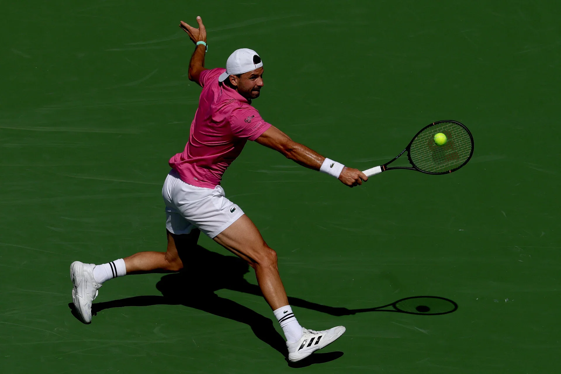 Berrettini and Dimitrov await Wimbledon wild-card verdict