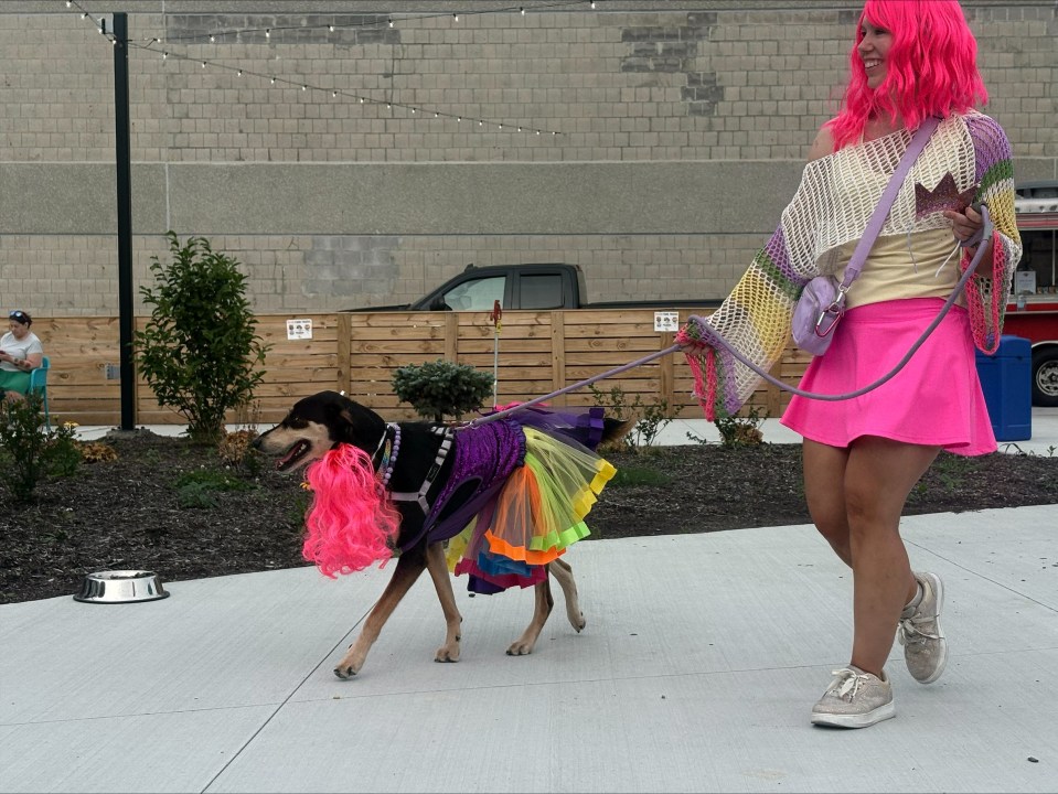 Dog-centric Pride event helps raise funds for LGBTQ+ community