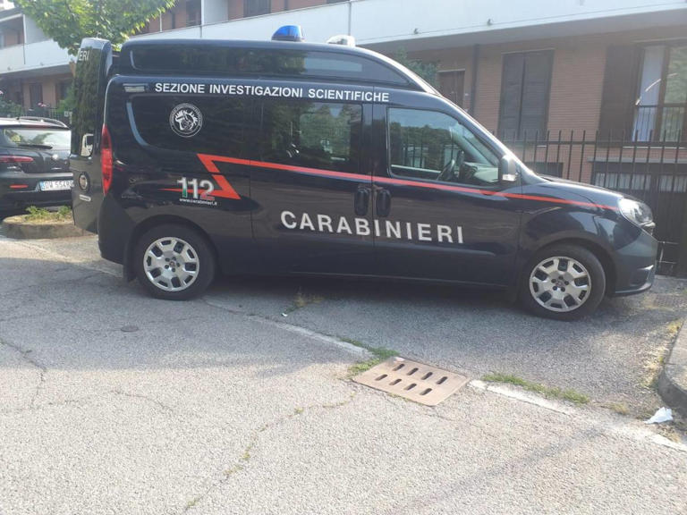 Uccide la zia a coltellate e getta il corpo nel fiume, 17enne confessa ...