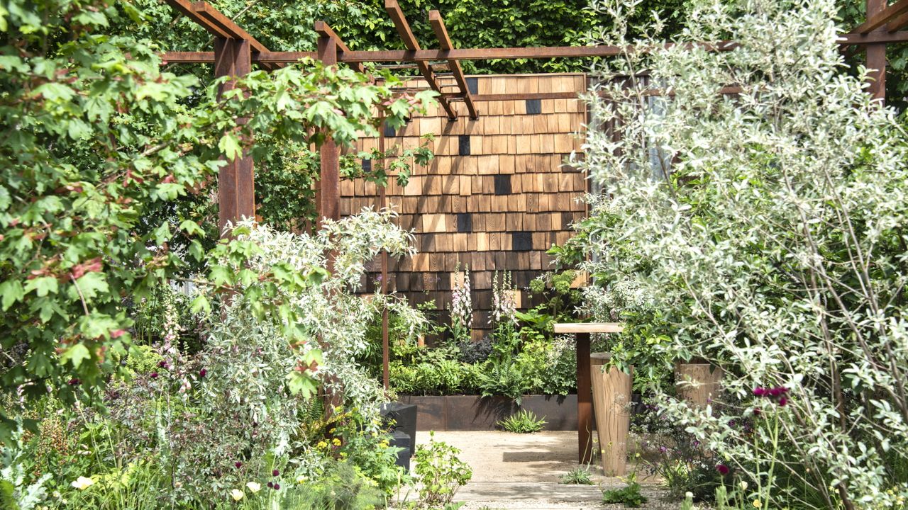 Never prune these plants in June – you’ll lose flowers, or even risk ...