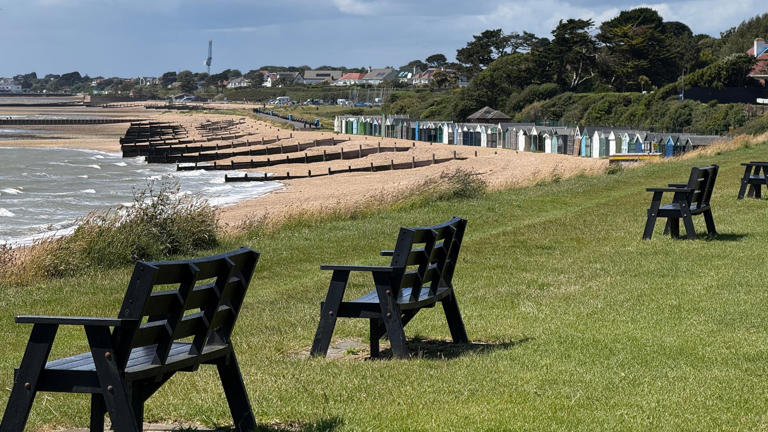 Big picture: This week's images from the South