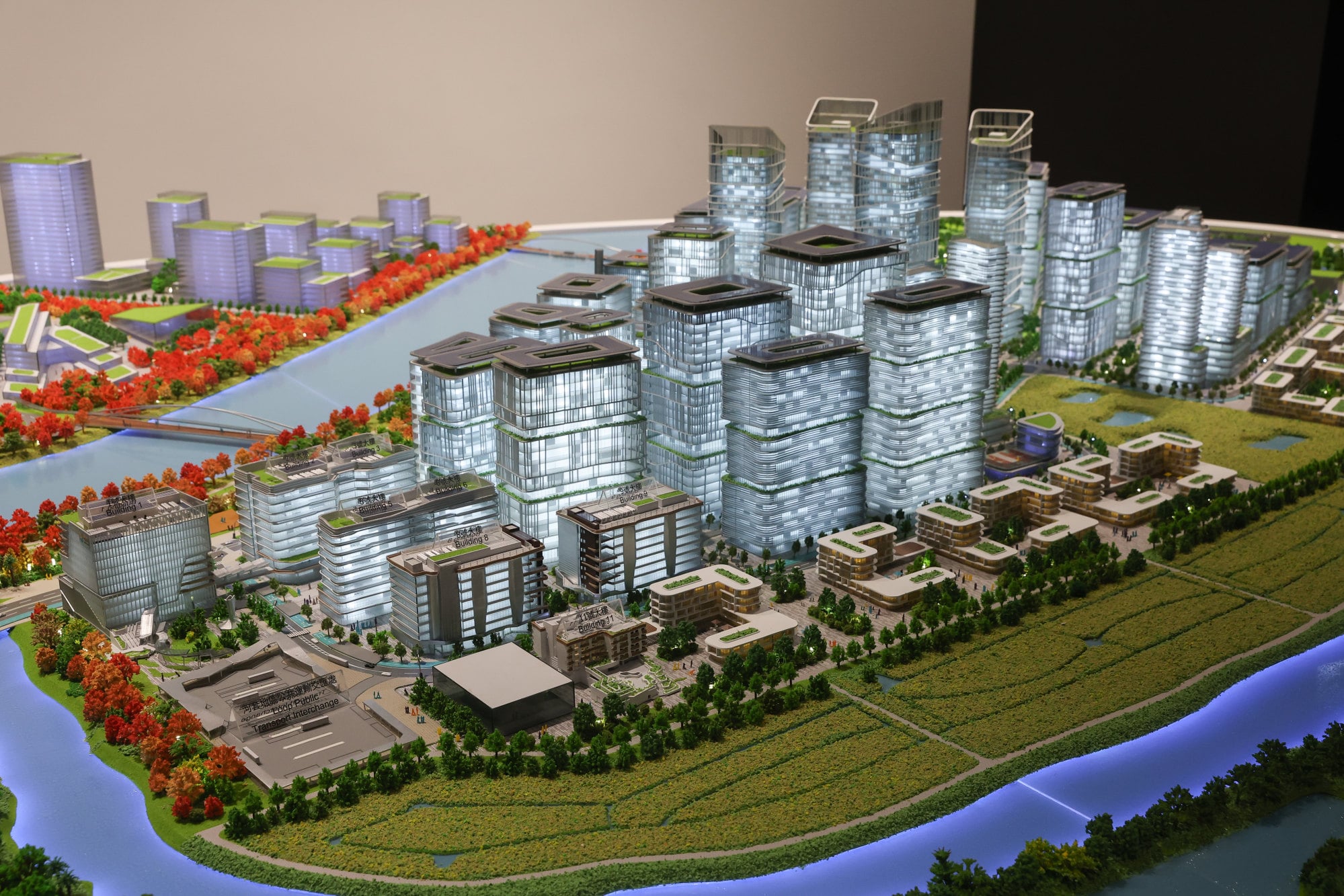 Hong Kong’s first 5-year plan to tackle economic gaps, boost quality ...