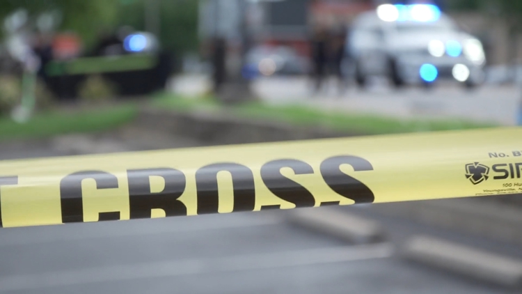 Coroner identifies 13-year-old killed after car crashed into teens in ...