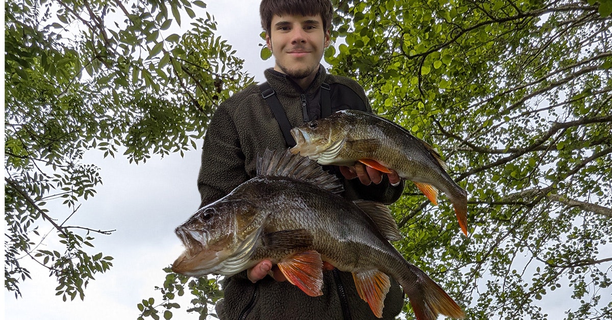 Quick session produces impressive perch brace