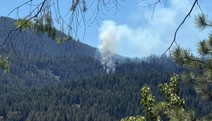 US F/A-18 Hornet fighter jet crashes in Washington state: Report