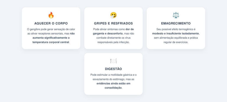 Planta medicinal que alivia enjoos, ajuda na digestão, aquece o corpo e ...
