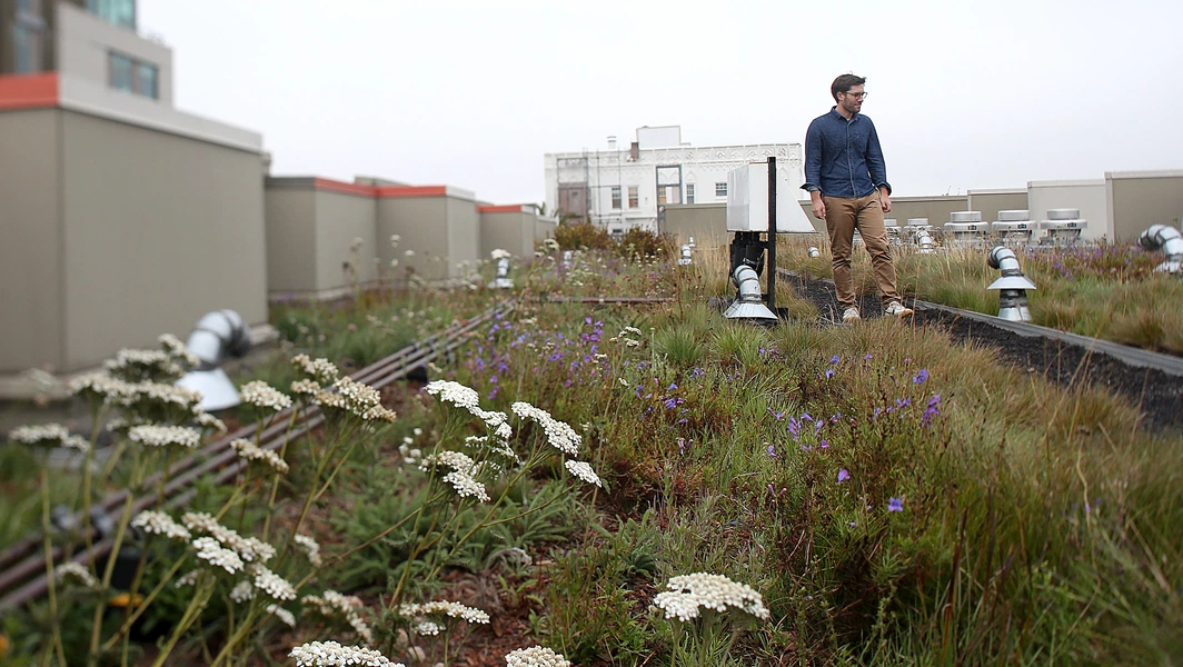 Zac Efron’s off-grid hemp FutureCave