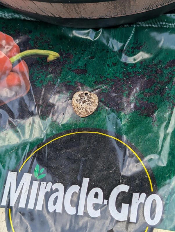 Couple dumping Miracle-Gro mix fear the worst after a Raleigh vet ...