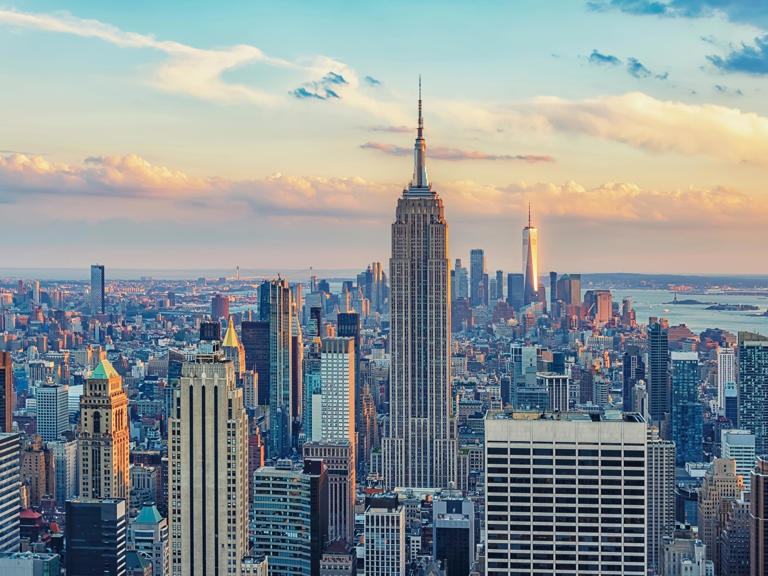 Mamdani wants more housing on public land. A map shows where NYC is ...