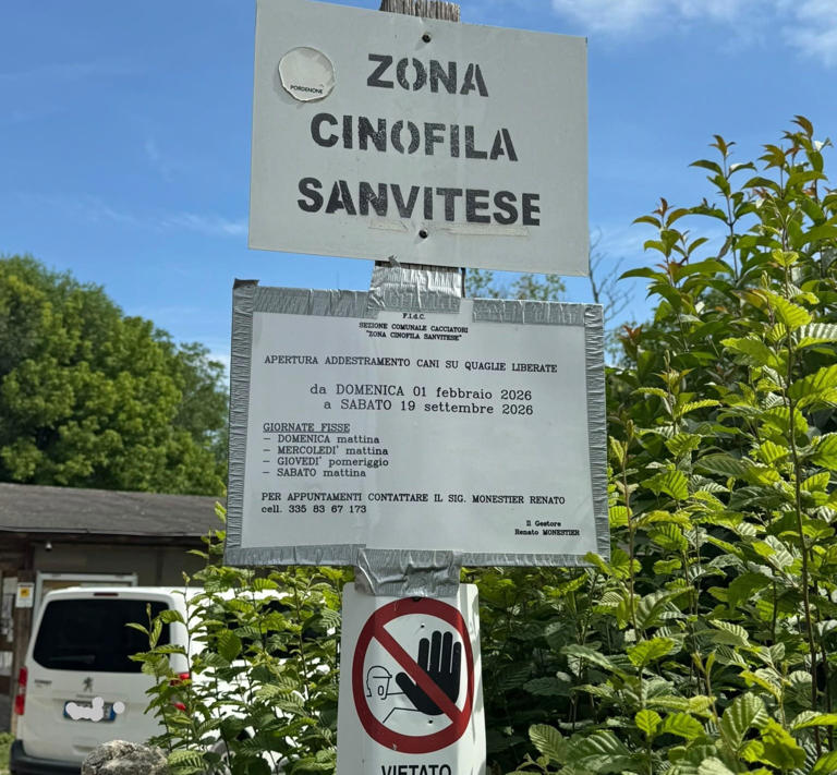 Cacciatore spara a una quaglia ma centra e ferisce un runner