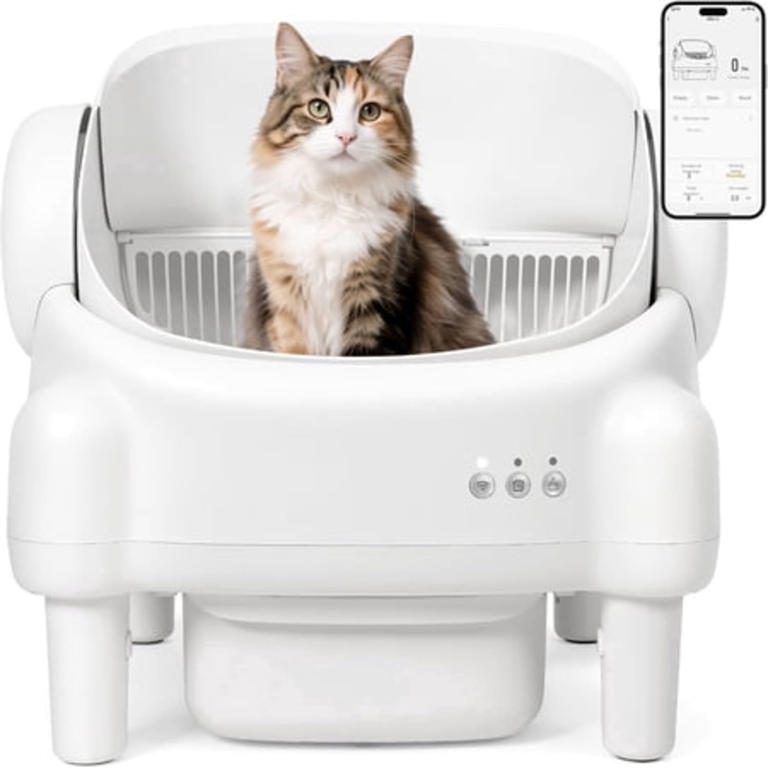Walmart’s secret pet sale has up to 70% off must-haves for your furry ...