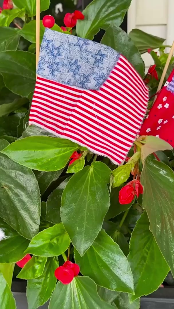 The Dollar Store item she turned into jaw dropping porch decor!