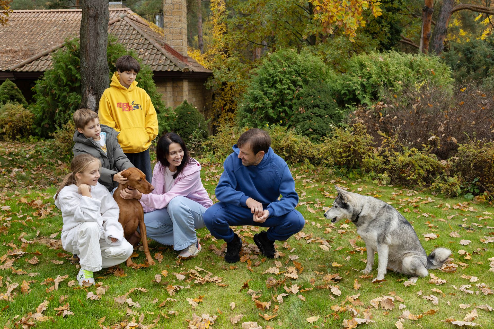 'Finding home' — Giving Ukraine's war-rescued animals a second chance ...