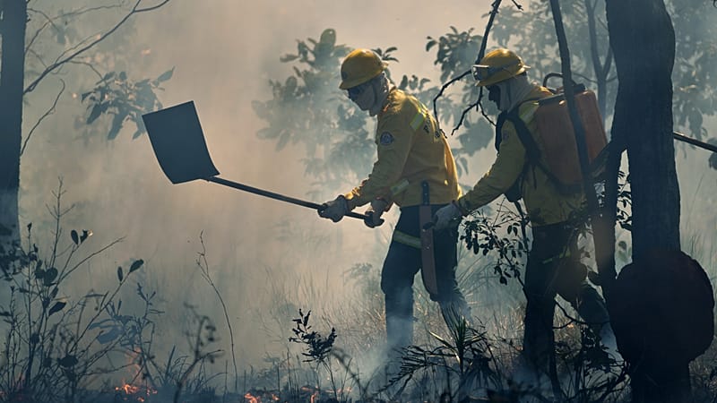 Northern Spain wildfire burns 330 hectares and forces evacuations