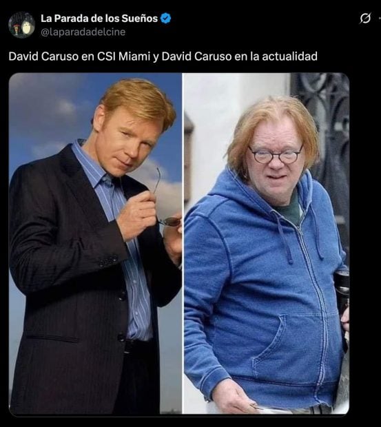 Qué fue de David Caruso, Horatio en 'CSI Miami': su vida actual y su ...