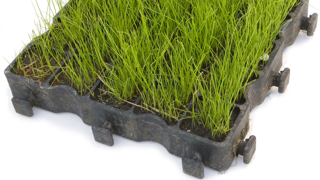 7 eco-friendly alternatives to concrete driveways