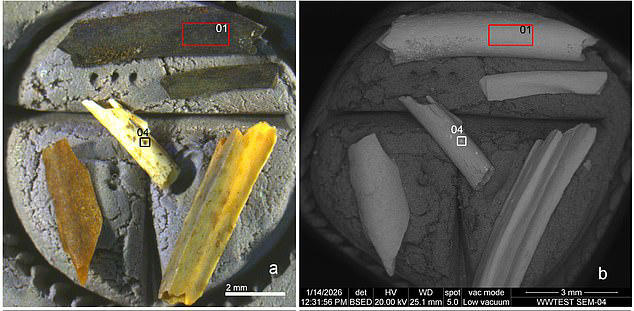 Story of human evolution rewritten after 1.8-million-year-old cave ...