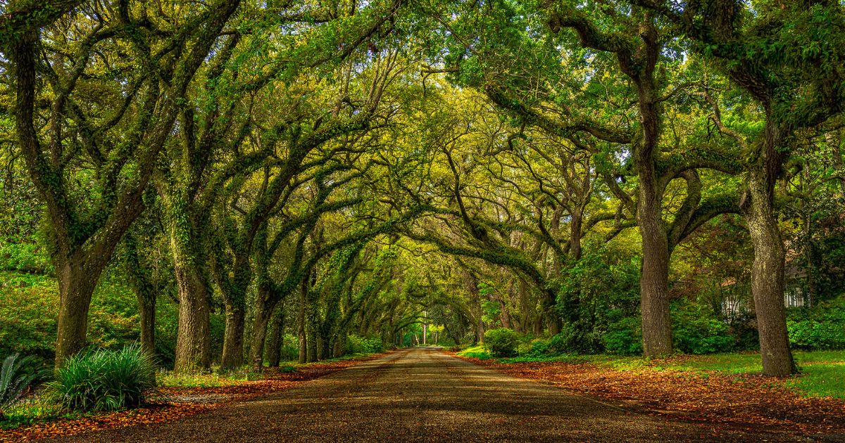 This Alabama waterfront village feels like the Netherlands