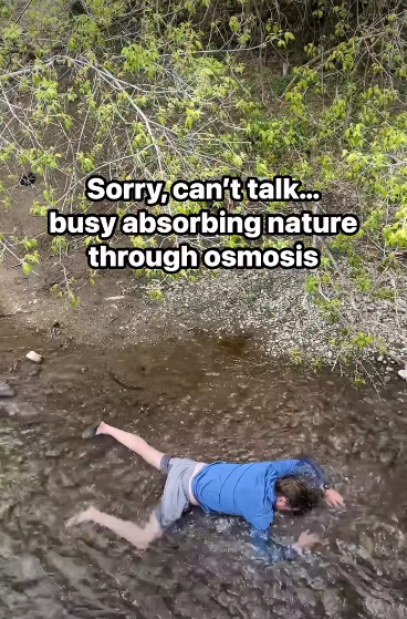 'Go touch some grass': 29 memes filled with fresh oxygen for outdoor people