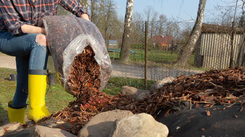 The truth about gardening mulch