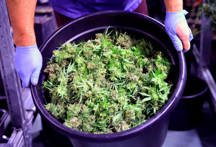 The first US marijuana stock is now trading on the NYSE. Here's what ...