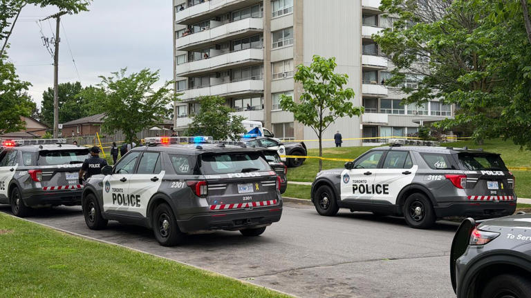 1 dead after being struck by vehicle, large fight in North York: police
